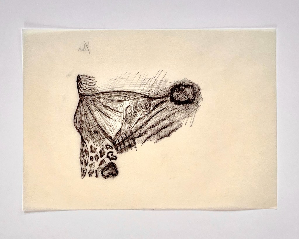 Surrealist Automatic Drawings – MMI Art Expanded Classroom